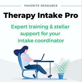 Therapy Intake Pro - Productive Therapist
